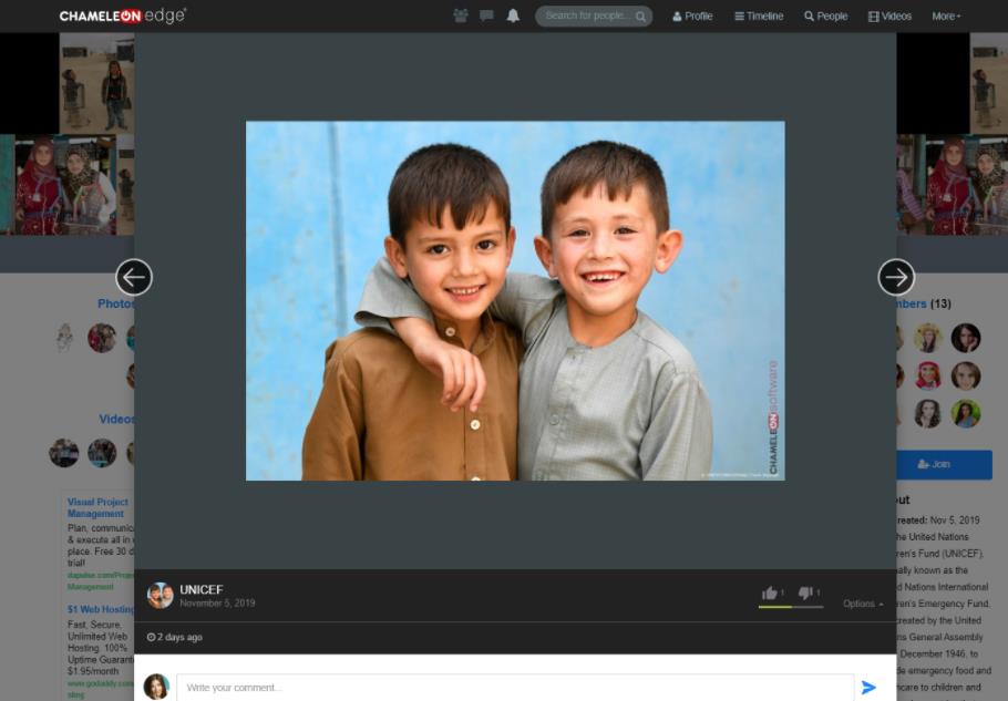 Dating Software & Social Networking Script Chameleon